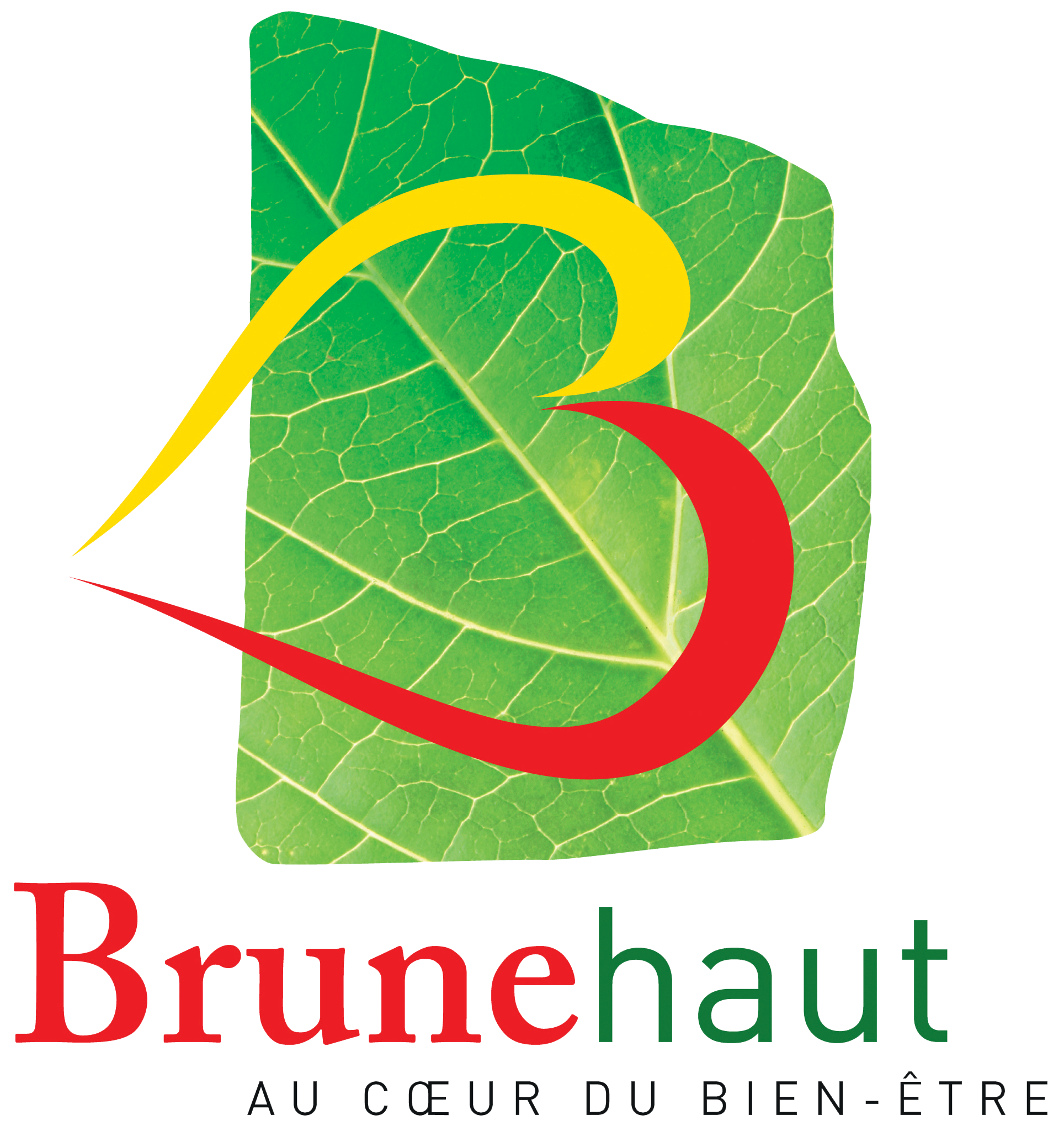 Présentation du compteur - AIEG